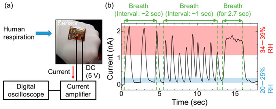 Recent Developments in Printing Flexible and Wearable Sensing ...