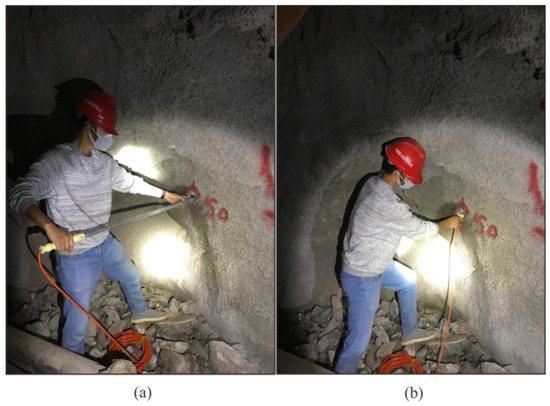 Application of a New Geophone and Geometry in Tunnel Seismic Detection