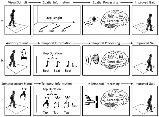 A Technological Review of Wearable Cueing Devices Addressing Freezing ...