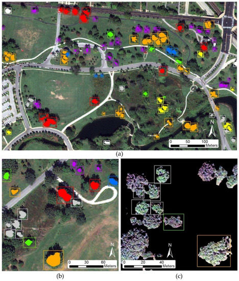 Urban Tree Species Classification Using a WorldView-2/3 and LiDAR Data ...