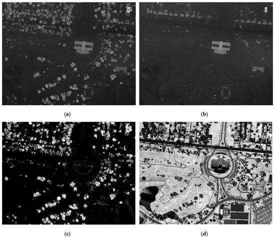 Urban Tree Species Classification Using a WorldView-2/3 and LiDAR Data ...