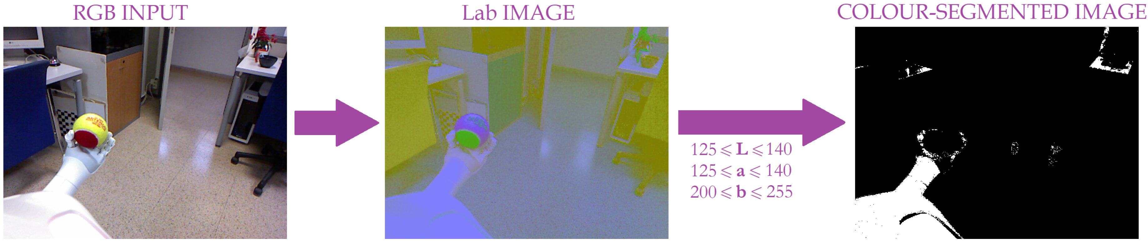 Vision for Robust Robot Manipulation