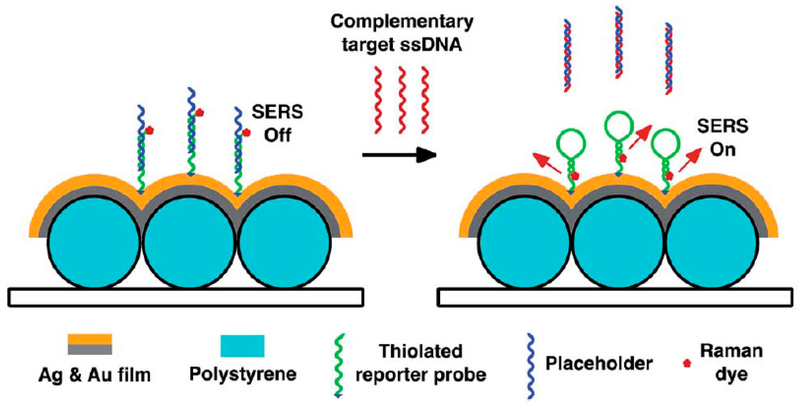 Sensors | Free Full-Text | Novel Surface-Enhanced Raman Spectroscopy ...