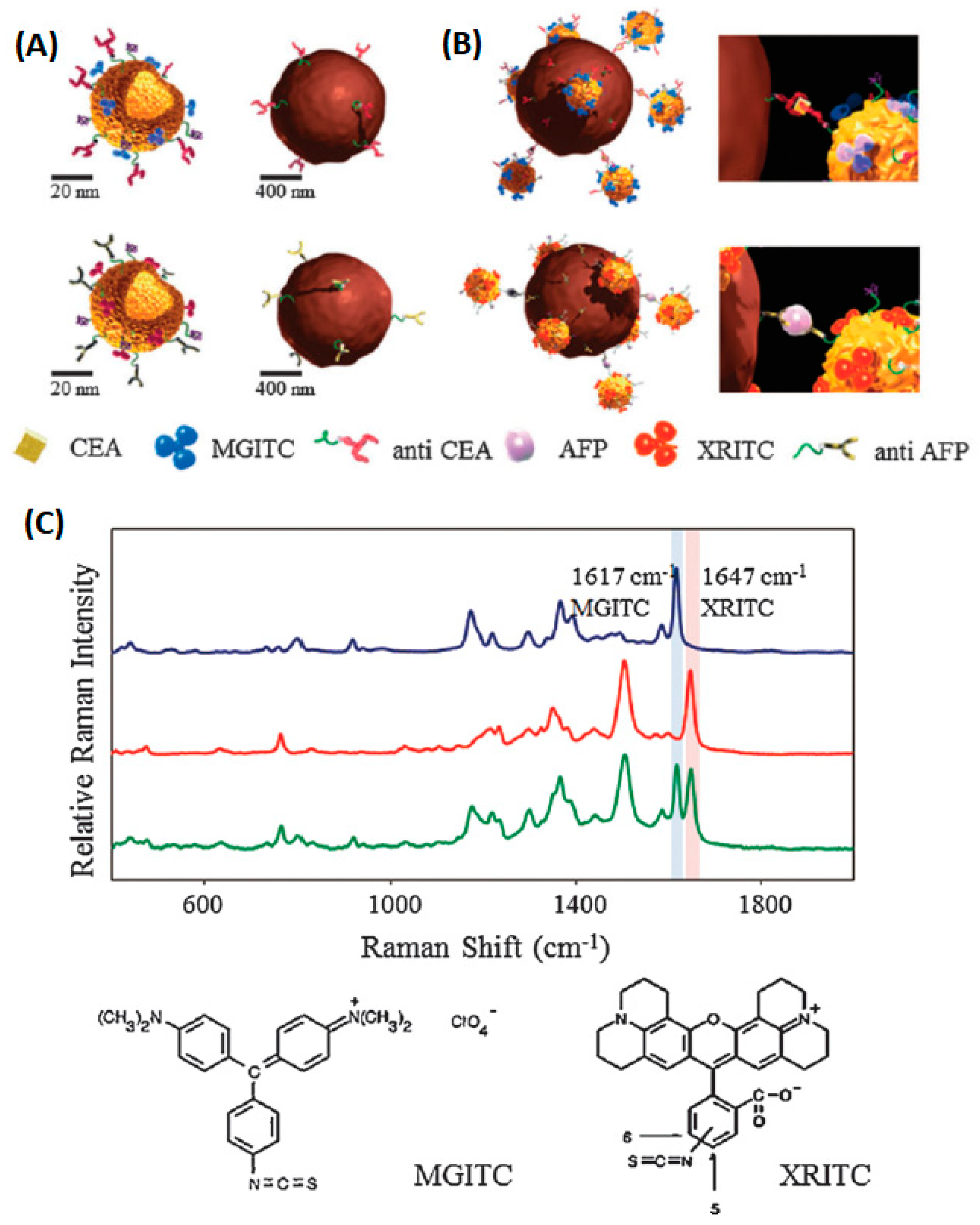 Sensors | Free Full-Text | Novel Surface-Enhanced Raman Spectroscopy ...