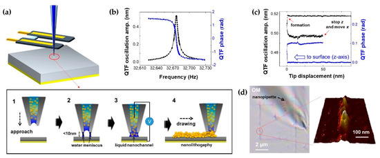 Sensors | Special Issue : Quartz Tuning Fork-based Sensors