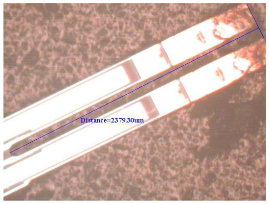Sensors | Special Issue : Quartz Tuning Fork-based Sensors
