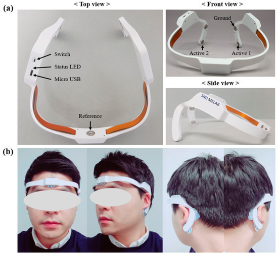 A Novel Wearable EEG and ECG Recording System for Stress Assessment