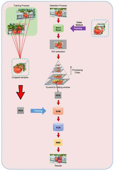 A Mature-Tomato Detection Algorithm Using Machine Learning and Color ...