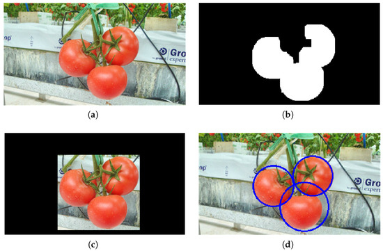 A Mature-Tomato Detection Algorithm Using Machine Learning and Color ...