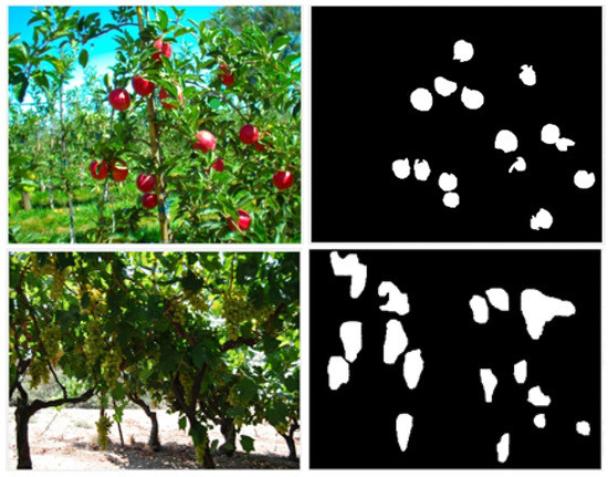 Sensors | Free Full-Text | Automatic Parameter Tuning for Adaptive Thresholding in Fruit Detection