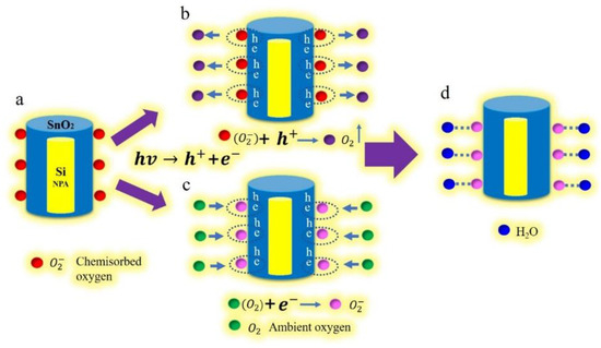 Enhanced Humidity Sensing Response of SnO2/Silicon Nanopillar Array by ...