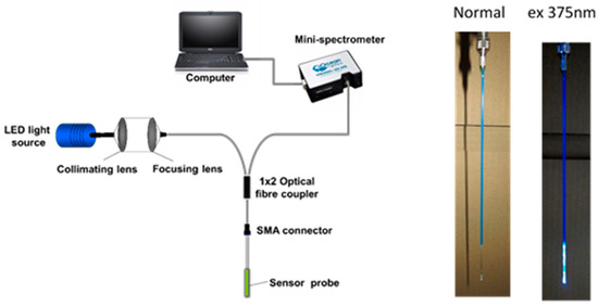 A Turn-On Fluorescence-Based Fibre Optic Sensor for the Detection of ...