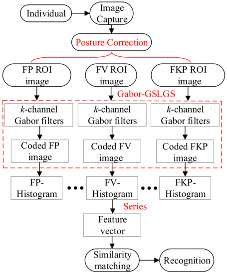 Novel Local Coding Algorithm for Finger Multimodal Feature Description ...