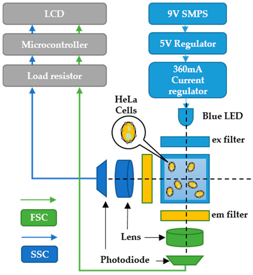 An Alternative Approach to Detecting Cancer Cells by Multi-Directional ...