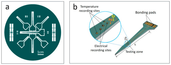 Multifunctional Freestanding Microprobes for Potential Biological ...