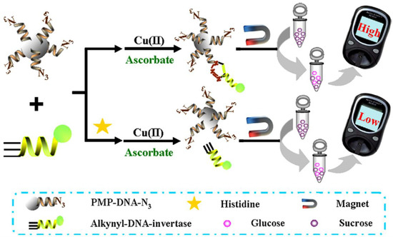 Copper(I)-Catalyzed Click Chemistry as a Tool for the Functionalization ...
