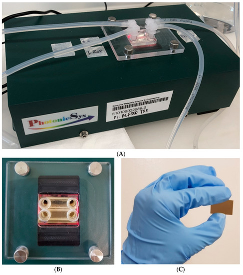 Point-of-Care Surface Plasmon Resonance Biosensor for Stroke Biomarkers ...