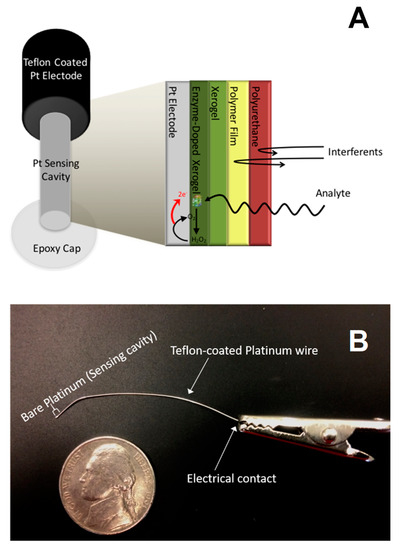 Sensors | Special Issue : Bio- and Chemical Sensors for Biomedical ...