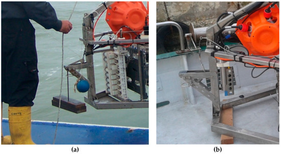 The AMERIGO Lander and the Automatic Benthic Chamber (CBA): Two New ...