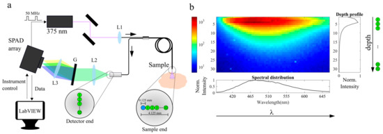 Multispectral Depth-Resolved Fluorescence Lifetime Spectroscopy Using ...