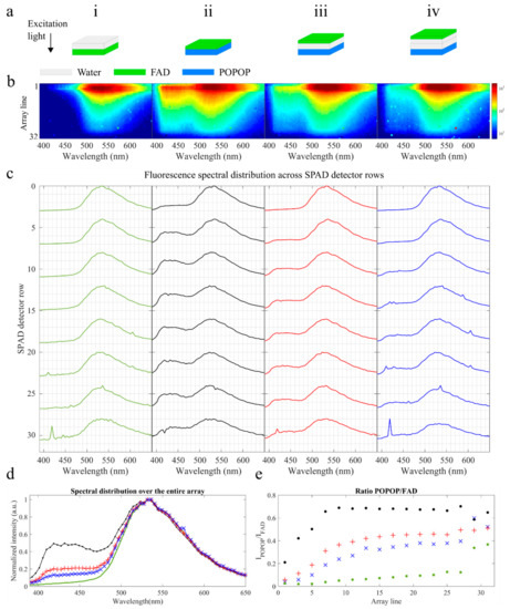 Multispectral Depth-Resolved Fluorescence Lifetime Spectroscopy Using SPAD Array Detectors and ...