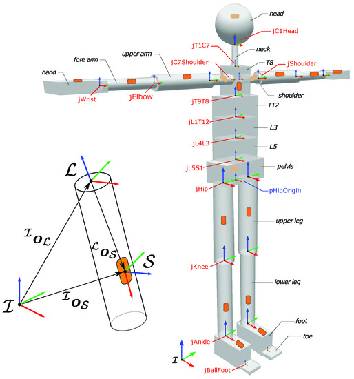 Simultaneous Floating-Base Estimation of Human Kinematics and Joint Torques