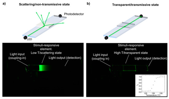 Optical Planar Waveguide Sensor with Integrated Digitally-Printed Light ...