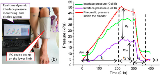 Dynamic Interface Pressure Monitoring System for the Morphological ...