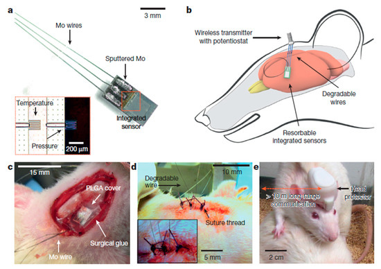 Silicon-Based Sensors for Biomedical Applications: A Review