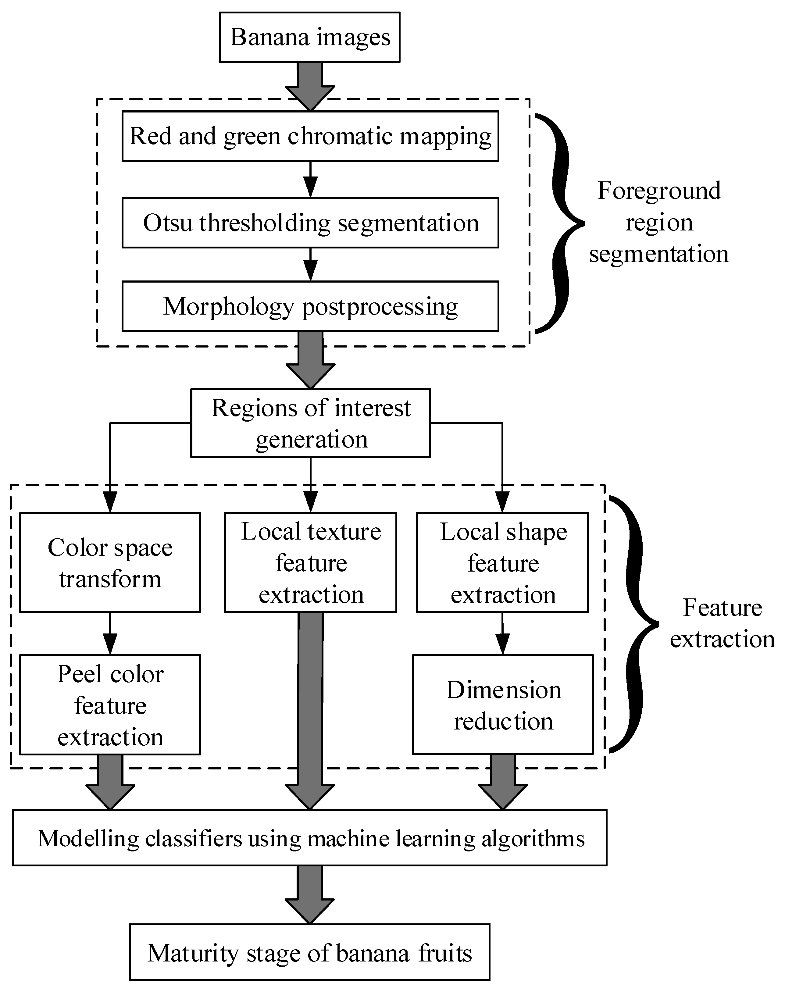 Assessment of External Properties for Identifying Banana Fruit Maturity ...