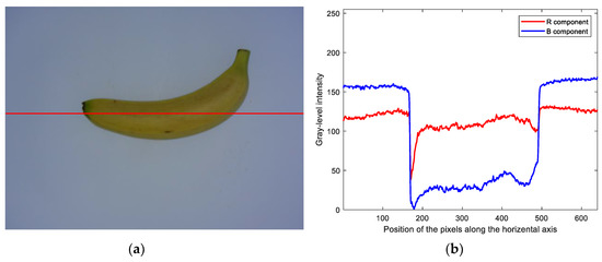 Assessment of External Properties for Identifying Banana Fruit Maturity ...