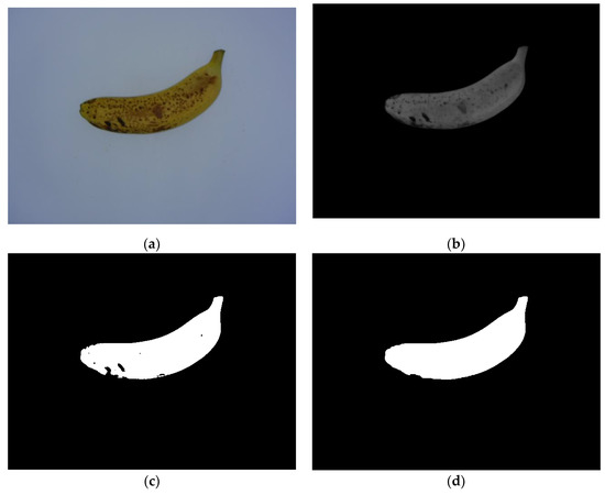 Assessment of External Properties for Identifying Banana Fruit Maturity ...