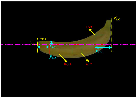 Assessment of External Properties for Identifying Banana Fruit Maturity ...