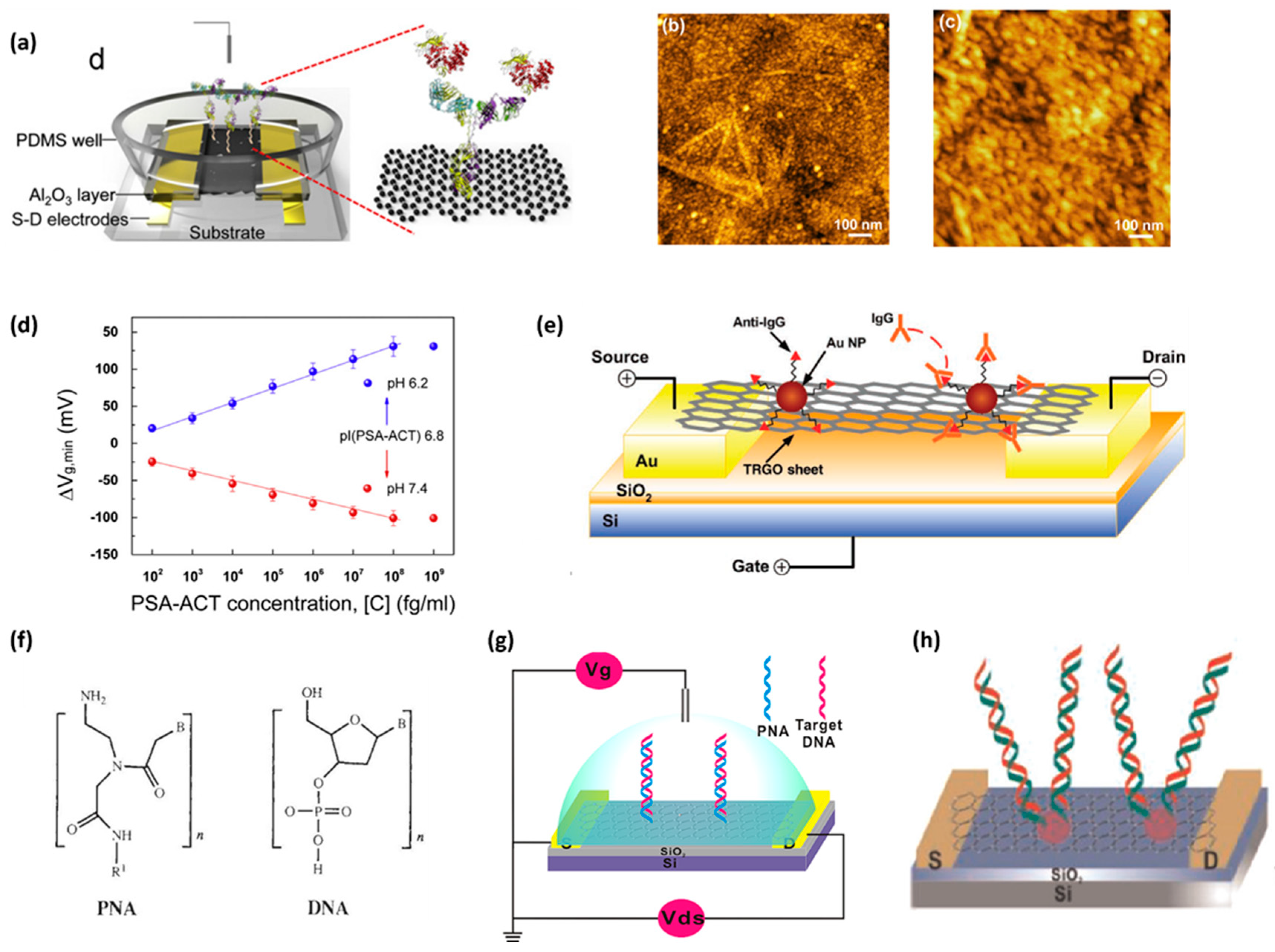 Two-Dimensional Graphene Family Material: Assembly, Biocompatibility ...