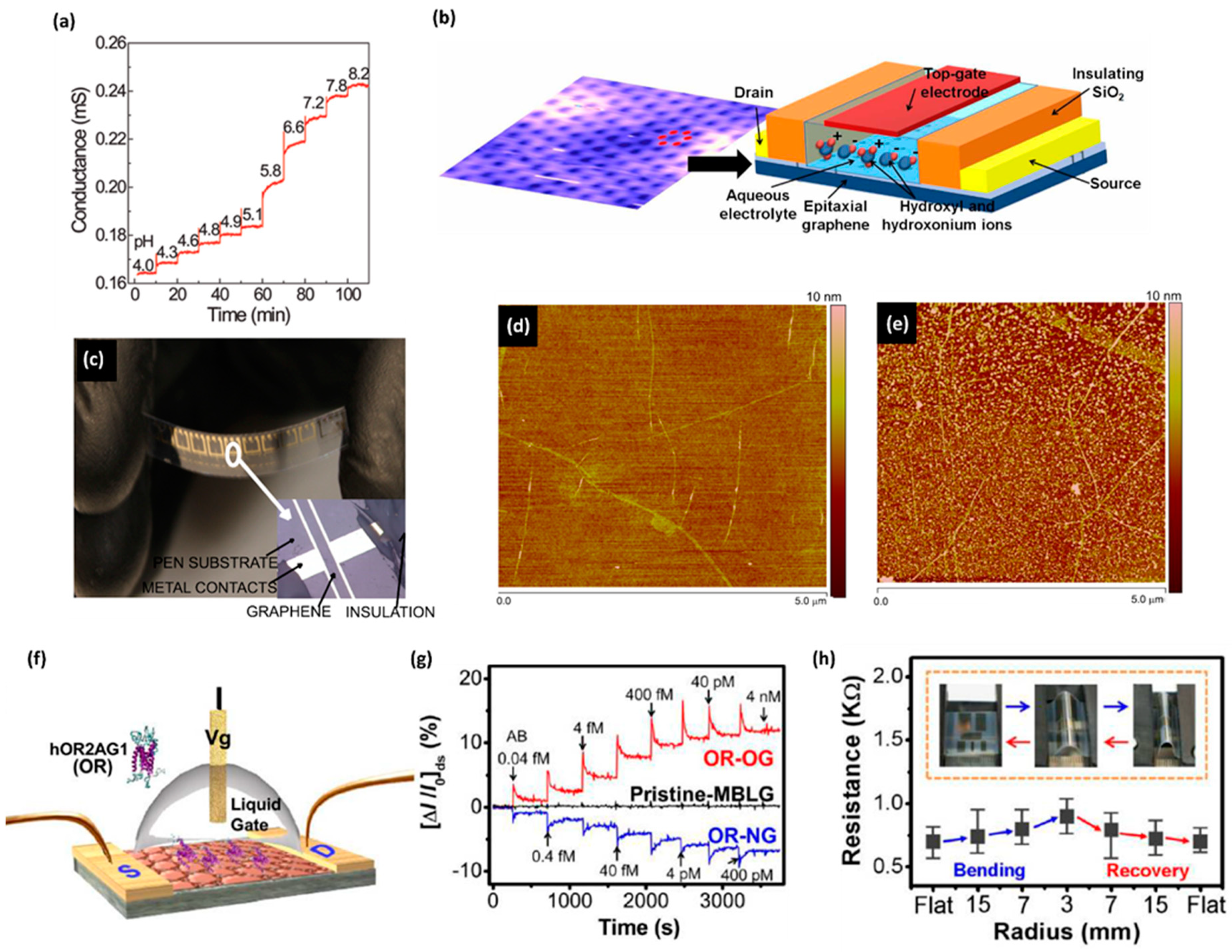 Two-Dimensional Graphene Family Material: Assembly, Biocompatibility ...