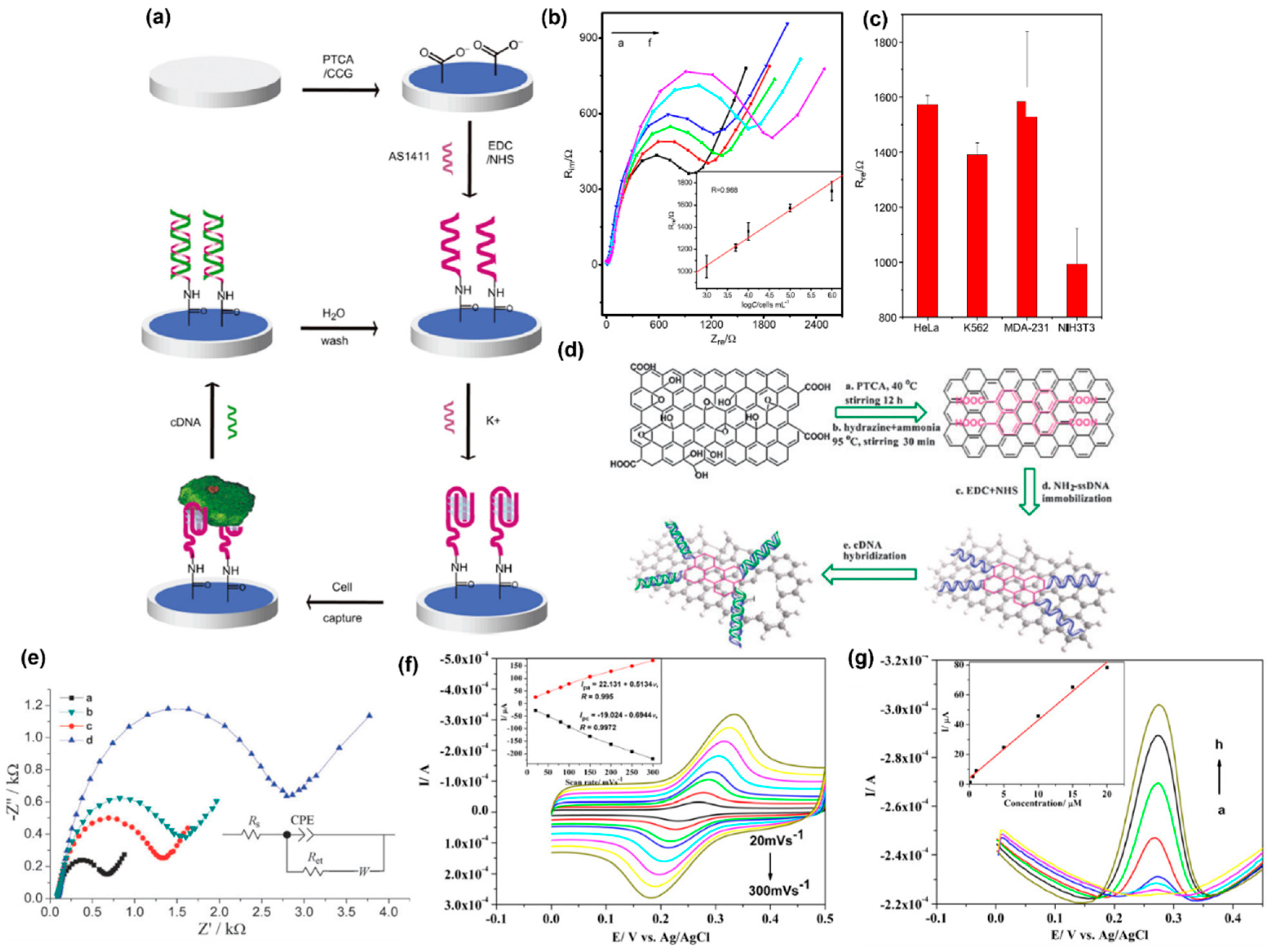 Two-Dimensional Graphene Family Material: Assembly, Biocompatibility ...