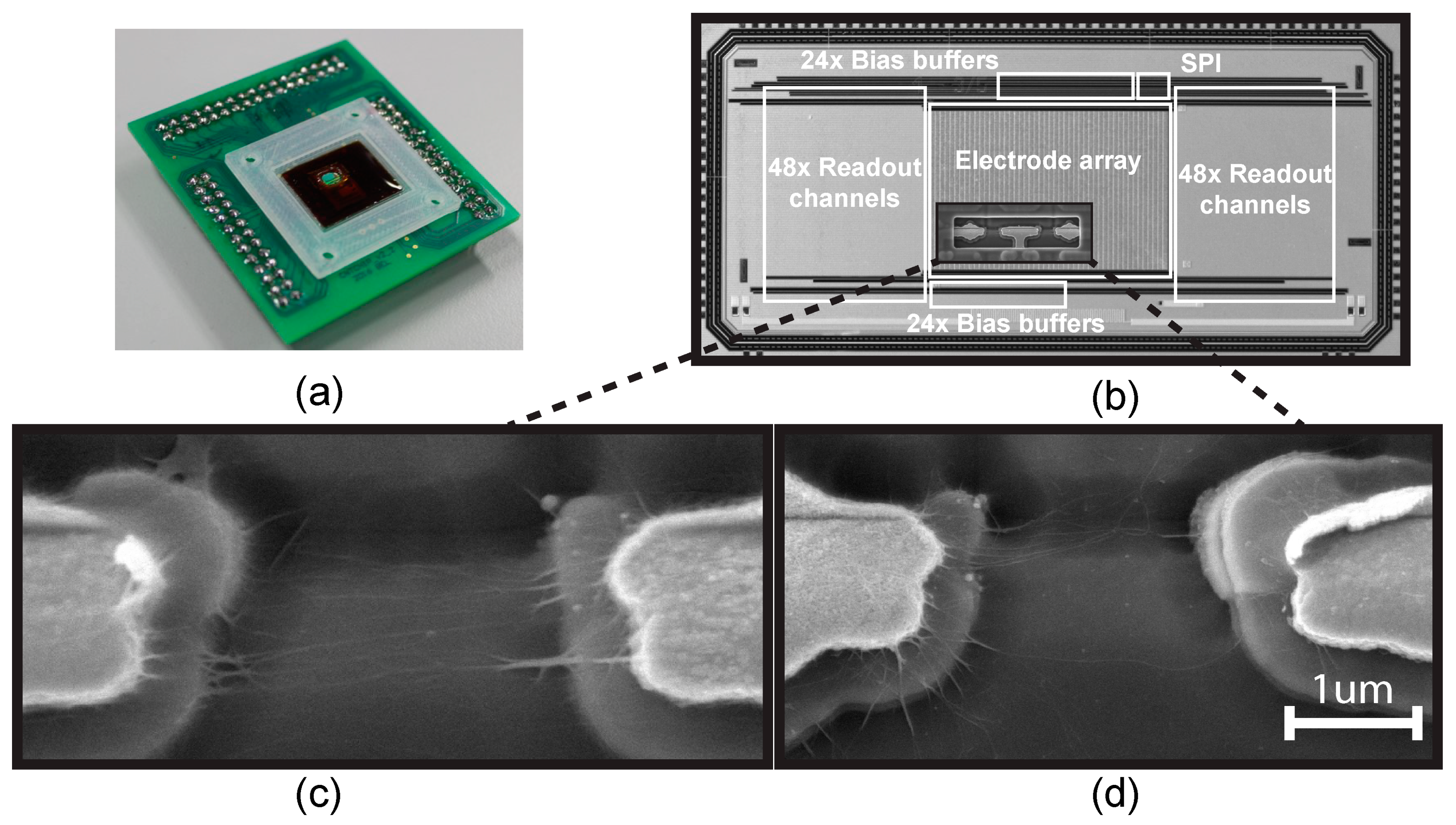 Carbon-Nanotube-Based Monolithic CMOS Platform for Electrochemical Detection of Neurotransmitter ...