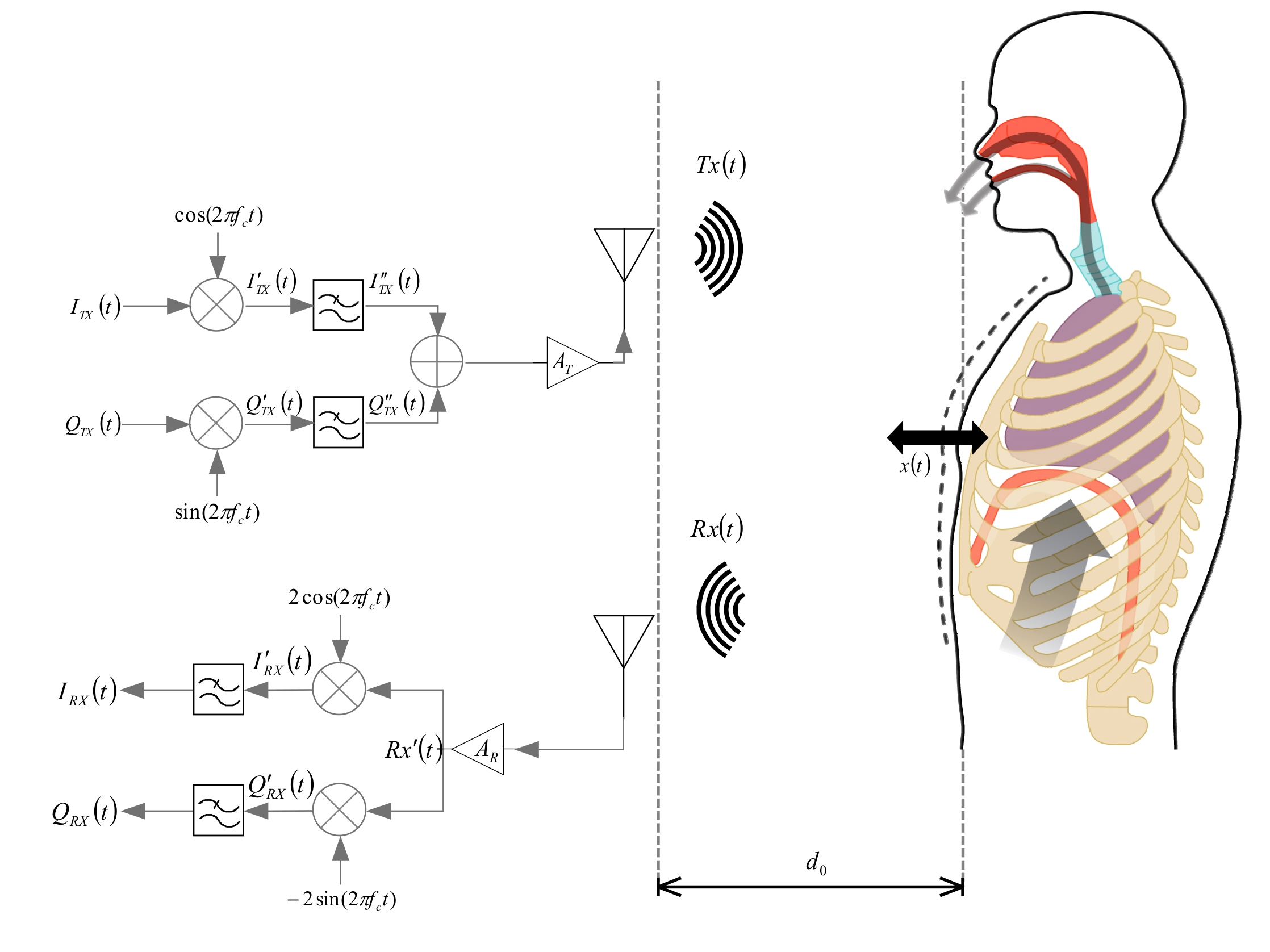 Software-Defined Doppler Radar Sensor for Human Breathing Detection