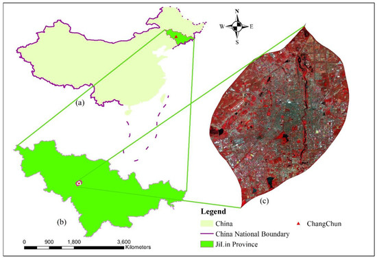 Detailed Urban Land Use Land Cover Classification at the Metropolitan ...