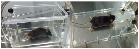 Early, Non-Invasive Sensing of Sustained Hyperglycemia in Mice Using ...