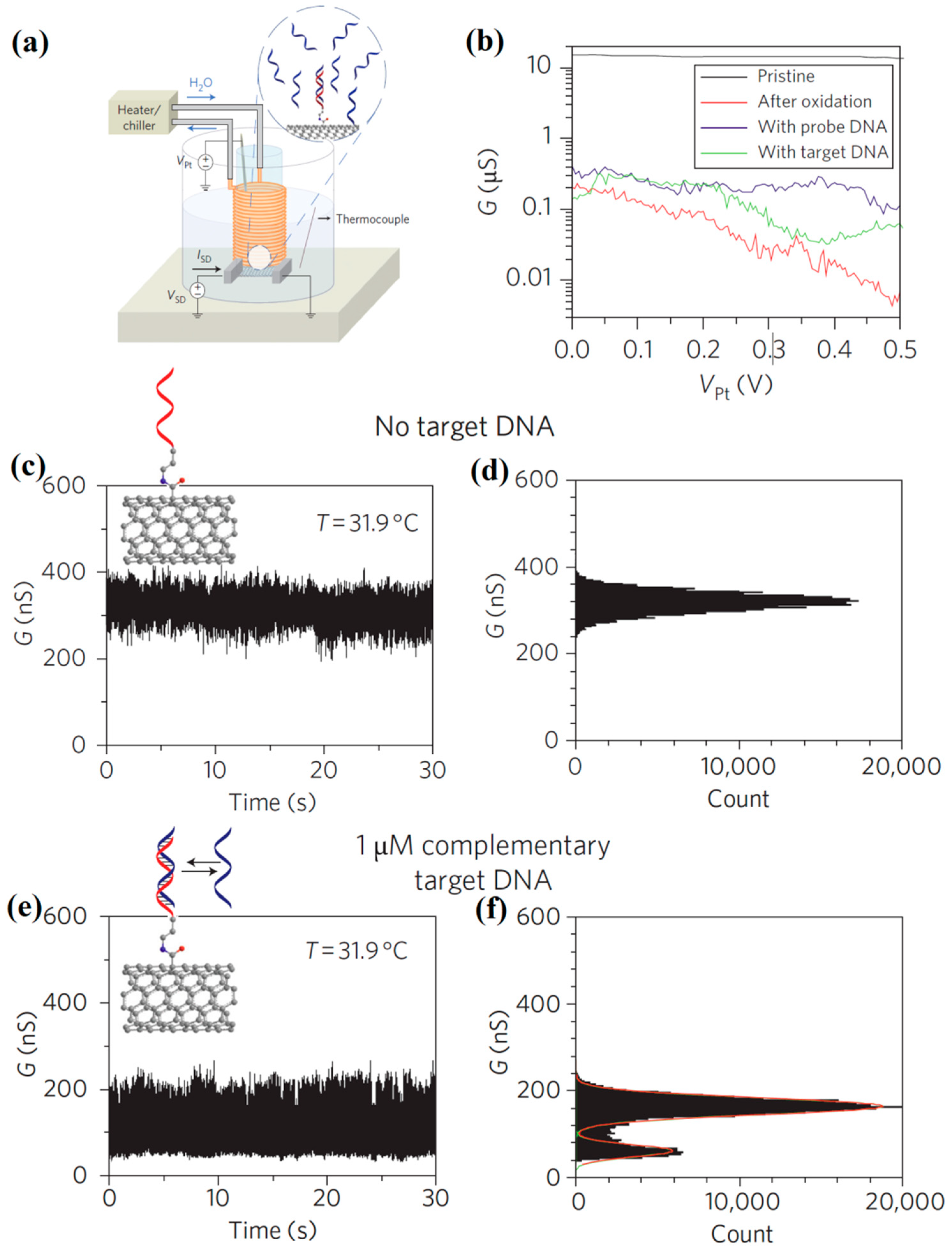 Recent Advances in Electric-Double-Layer Transistors for Bio-Chemical ...