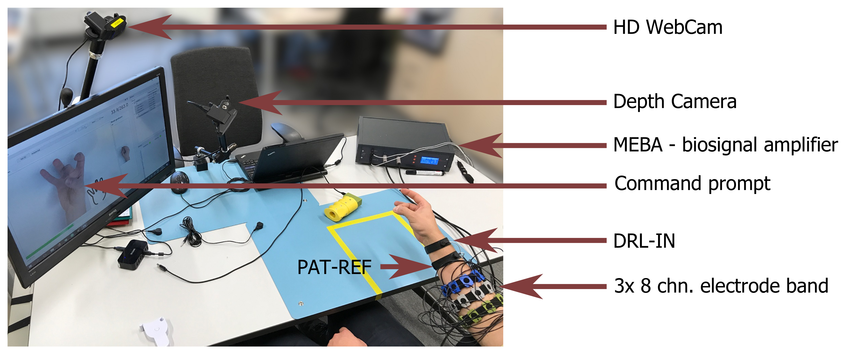 putEMG—A Surface Electromyography Hand Gesture Recognition Dataset