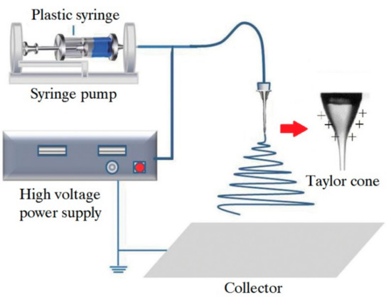 Electrochemical Sensors Fabricated by Electrospinning Technology: An ...