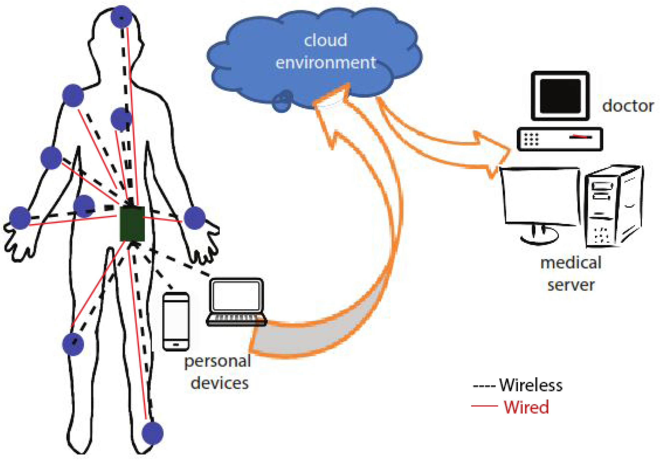 Sensors Free Full Text Validation Of Wired And Wireless Interconnected Body Sensor Networks