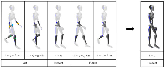 Human Run Cycle Reference