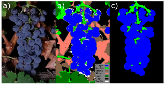 A Non-Invasive Method Based on Computer Vision for Grapevine Cluster Compactness Assessment ...