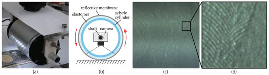 Tactile Image Sensors Employing Camera: A Review