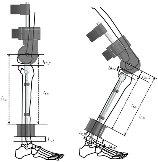 Development of a Single Leg Knee Exoskeleton and Sensing Knee Center of ...