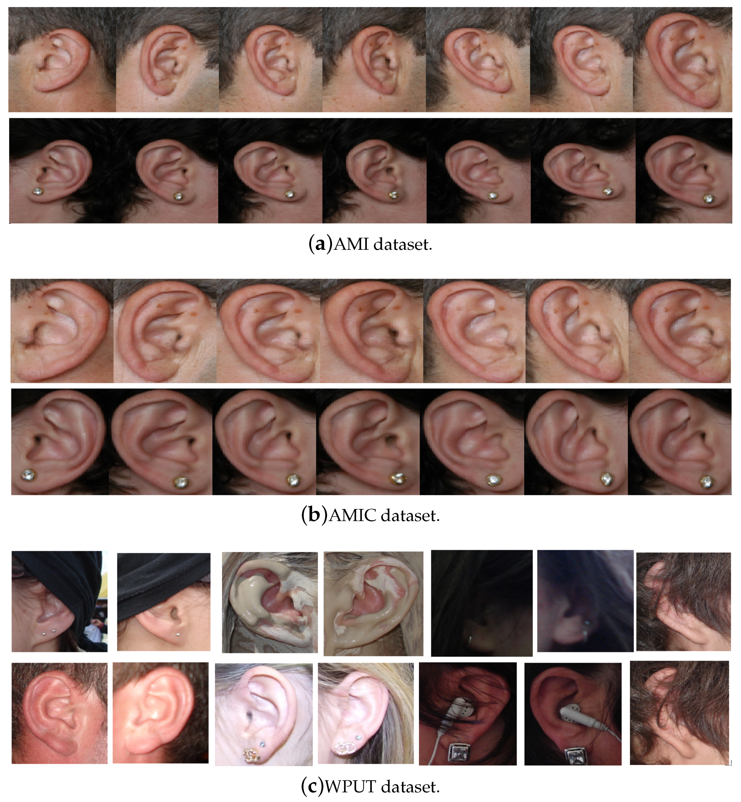 Ensembles of Deep Learning Models and Transfer Learning for Ear Recognition