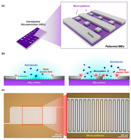 Highly Sensitive Micropatterned Interdigitated Electrodes for Enhancing ...